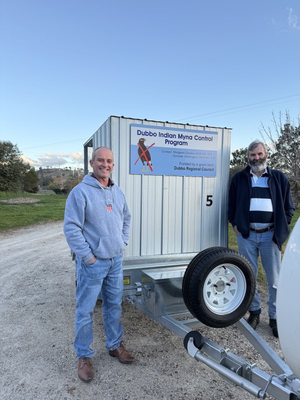 Indian Myna Bird Trap Sales — NSW Landcare Gateway